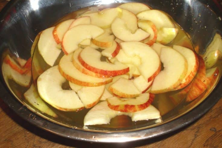 Dehydrating Apples to Make Dried Apple Rings and Apple Chips - Creative ...