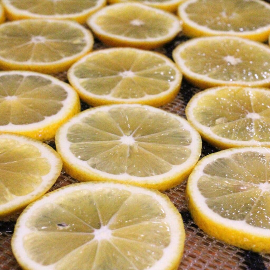 Dehydrating Lemons: Easy Dried Lemons in the Oven or Dehydrator ...