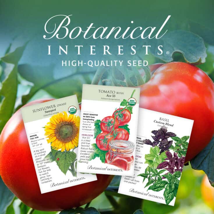 How to read a seed packet - Creative Simple Living