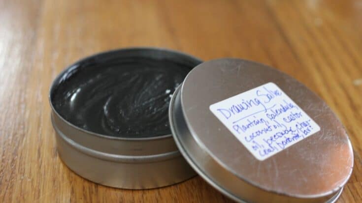 Homemade drawing salve recipe to draw out splinters, boils, and other ...