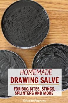 Homemade drawing salve recipe to draw out splinters, boils, and other ...