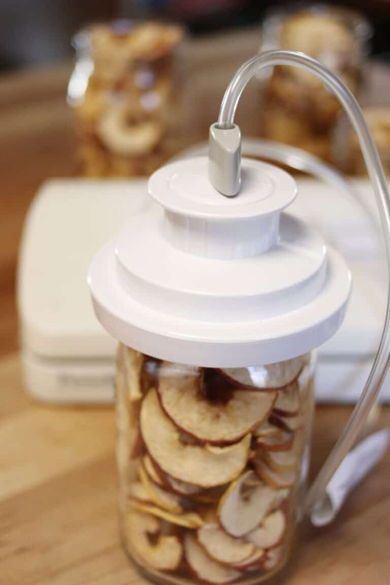 Dehydrating Apples: Step-by-Step Guide to Crisp Chips & Leathery Rings