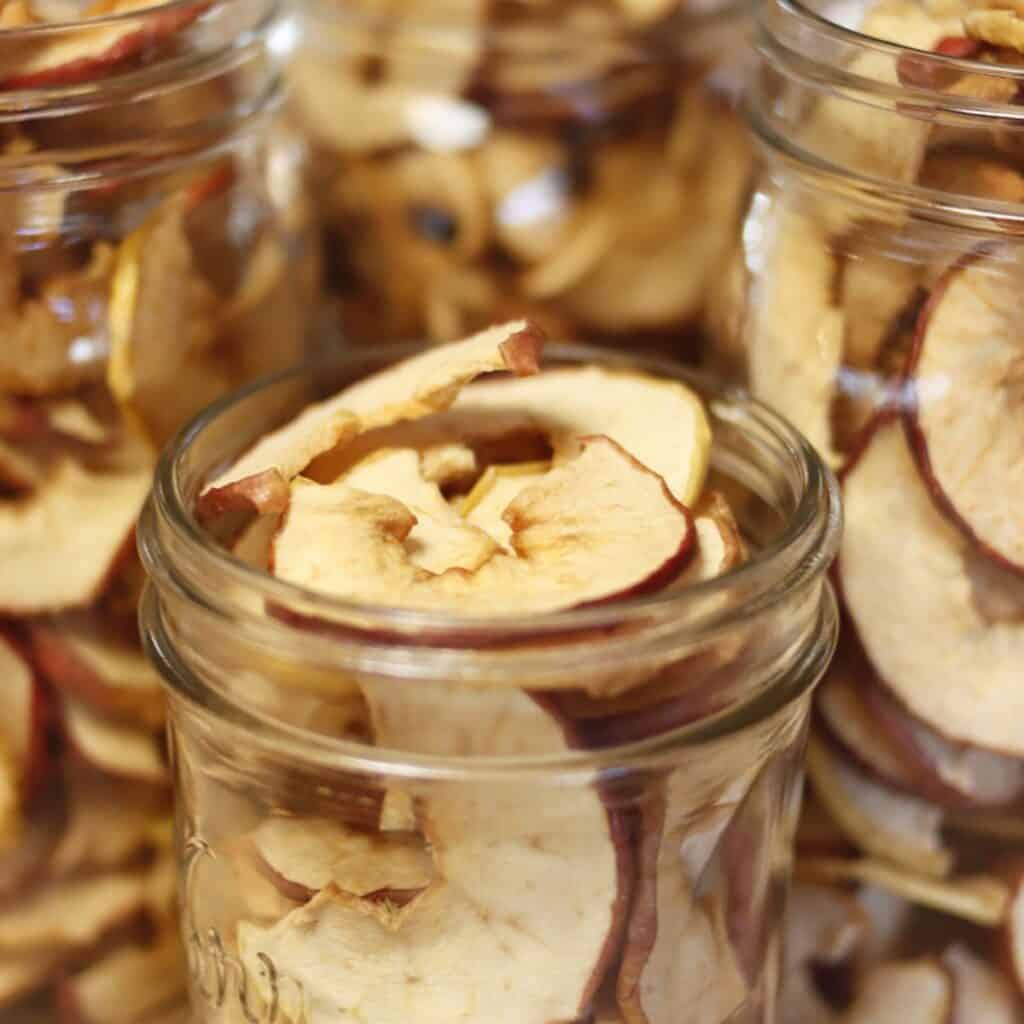 Dehydrating Apples: Step-by-Step Guide to Crisp Chips & Leathery Rings