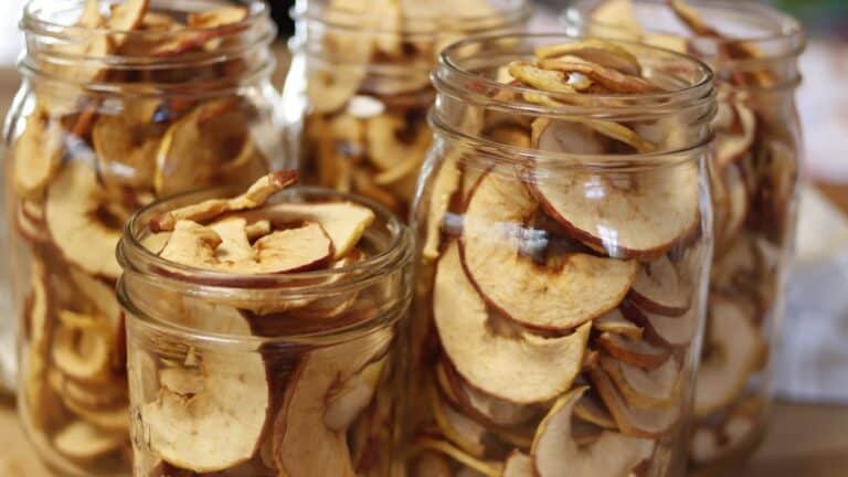 Dehydrating Apples: Step-by-Step Guide to Crisp Chips & Leathery Rings