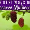 What to do with mulberries? 11 Easy Mulberry Recipes - Creative Simple ...