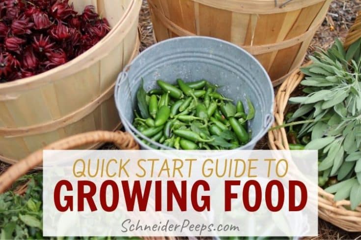Quick Start Guide to Growing Food - Creative Simple Living