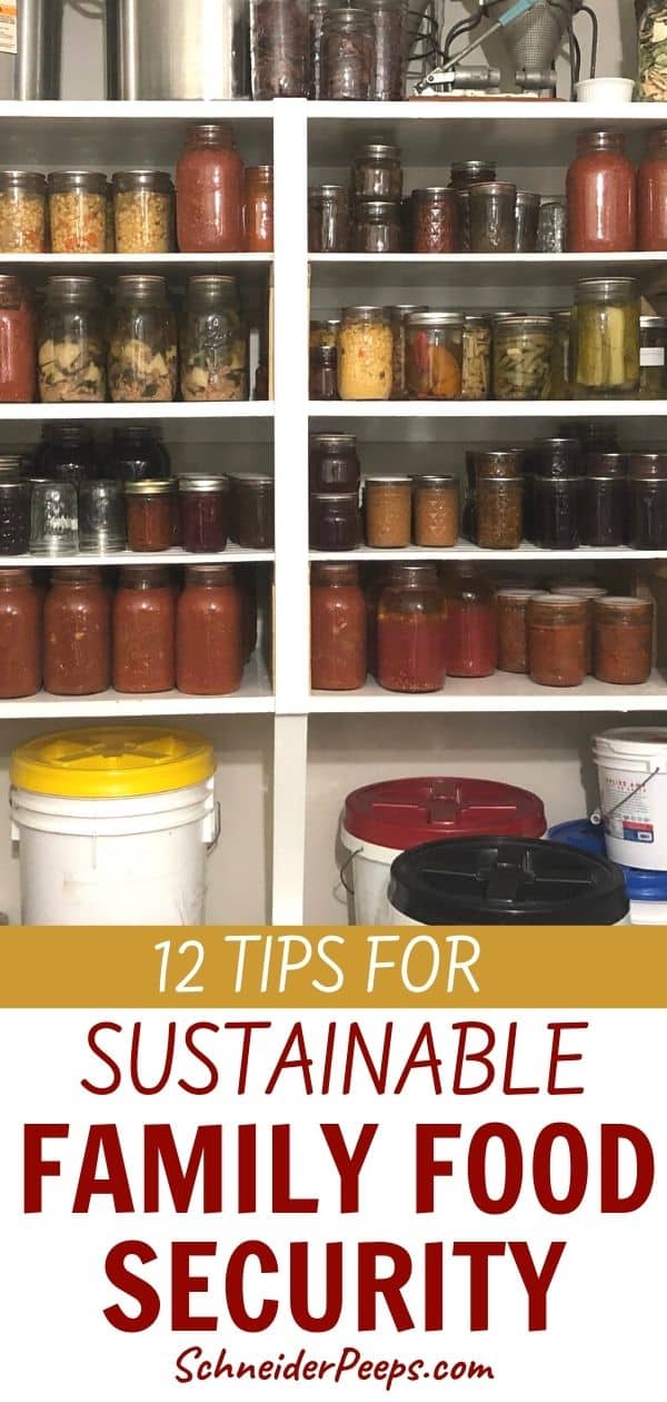 Having Food Security in Our Modern World - Creative Simple Living