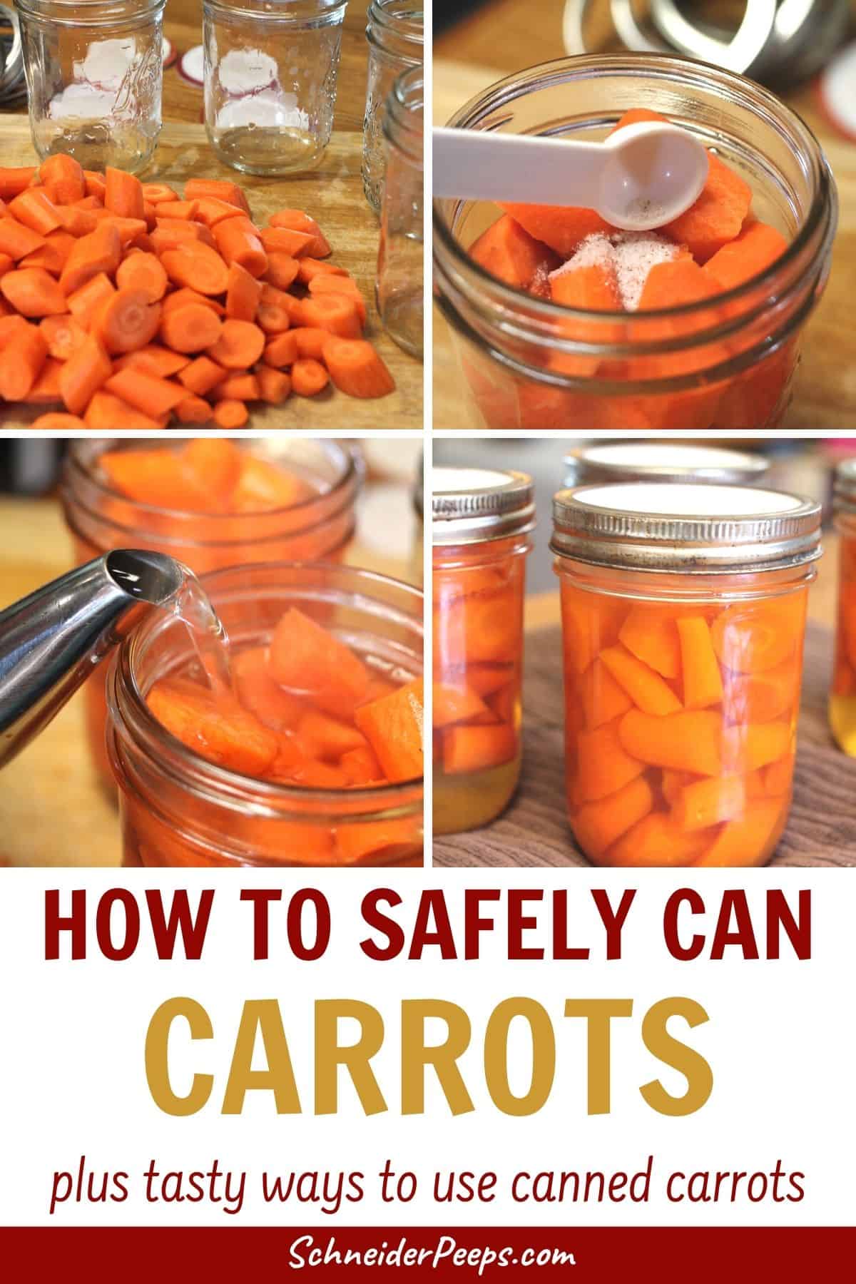 Guide to Safely Canning Carrots: All your questions answered!