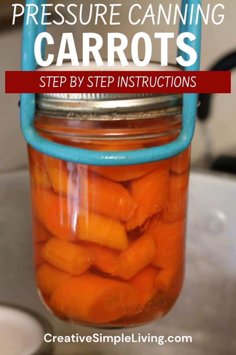Guide to Safely Canning Carrots: All your questions answered!