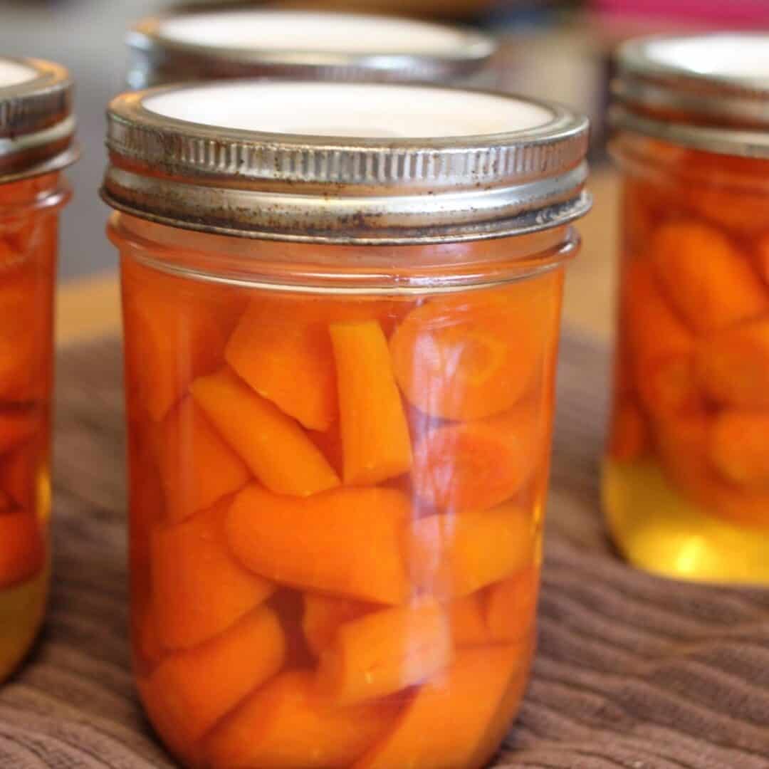 Guide to Safely Canning Carrots: All your questions answered!