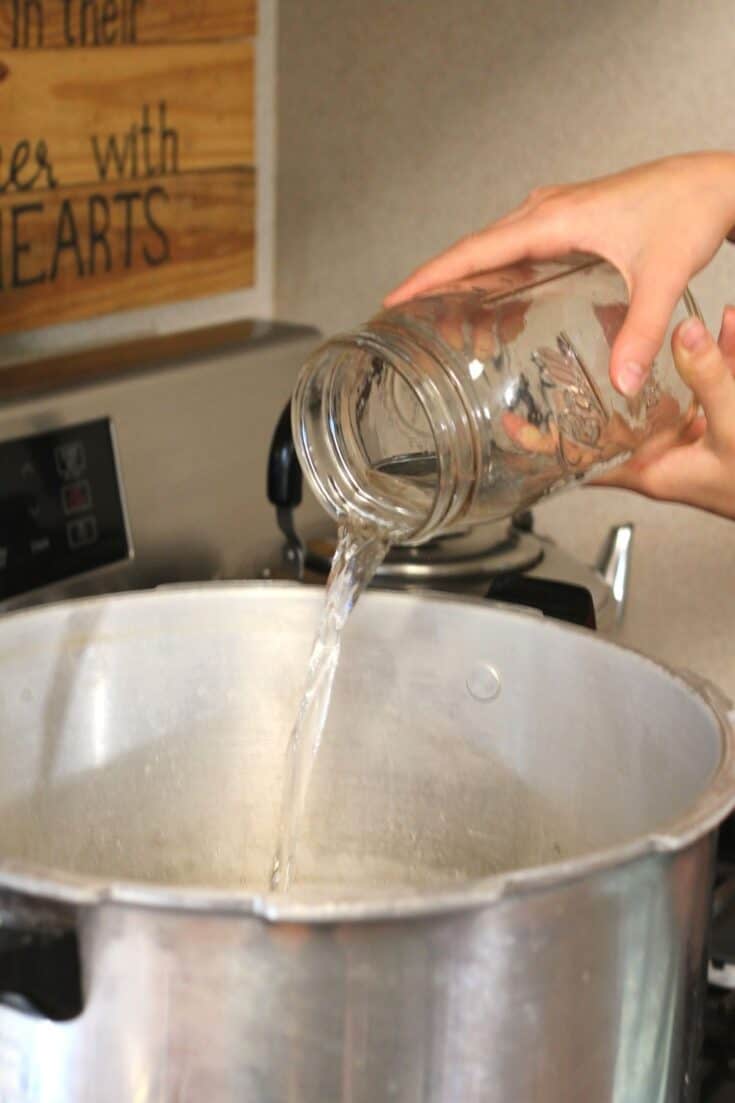 Guide to Safely Canning Carrots: All your questions answered!