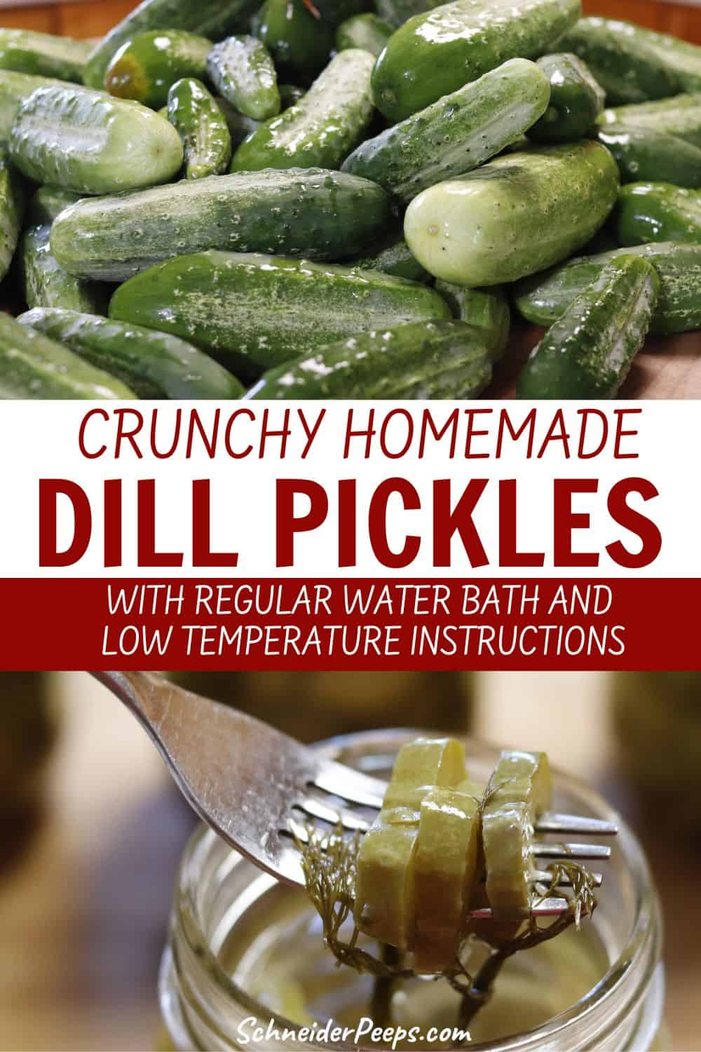 Crunchy Dill Pickle Recipe for Canning - Creative Simple Living