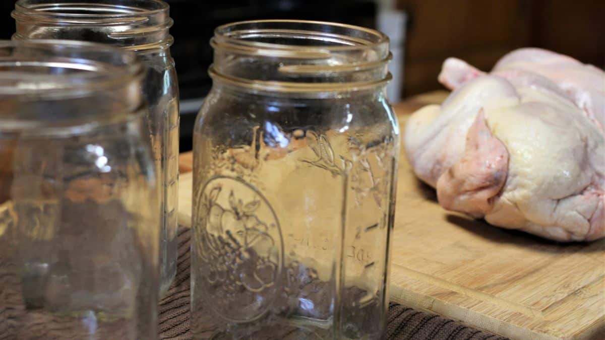 How to safely can chicken - raw and hot pack pressure canning methods ...